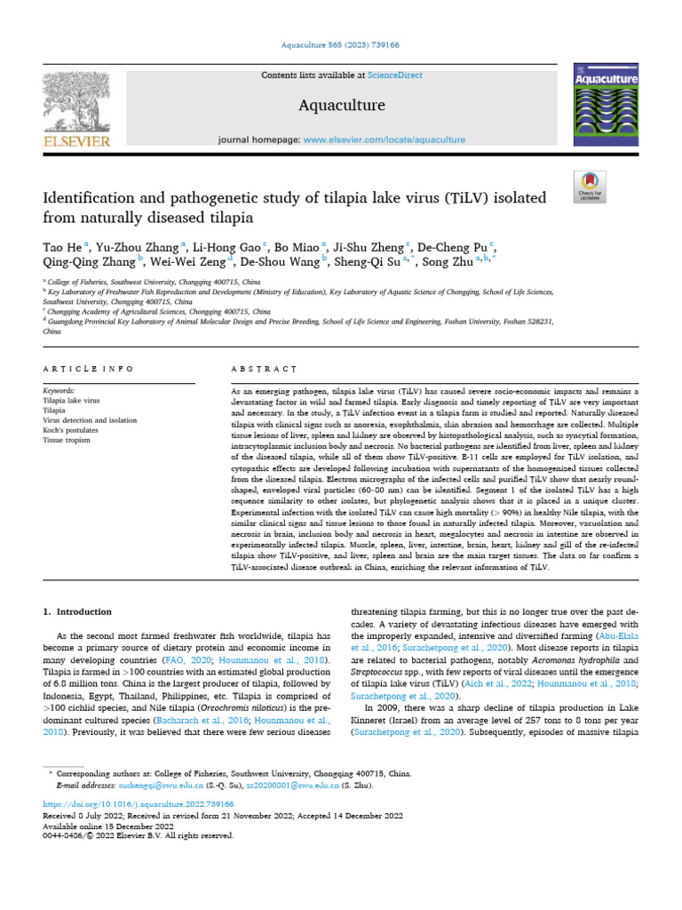 Study of Tilapia Lake Virus Impact | PDF | Real Time Polymerase Chain ...
