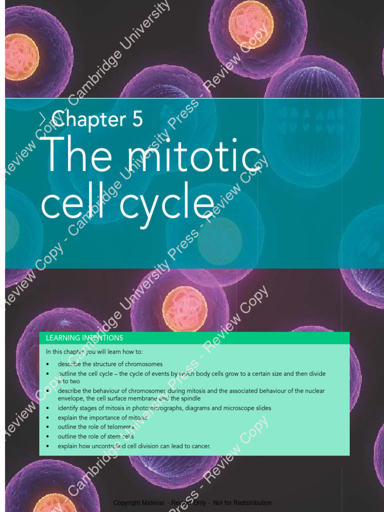Chapter 5 Biology | PDF | Mitosis | Chromosome