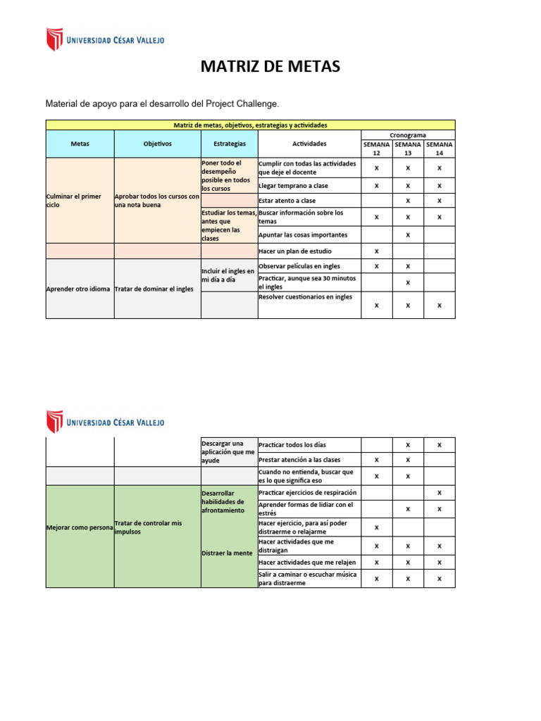 Matriz de Metas 13 | PDF
