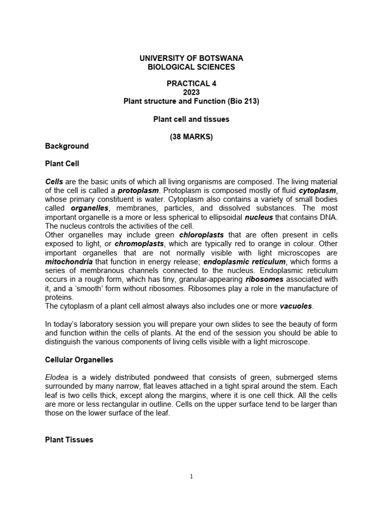 BIO213 PRACTICAL 4 2023 CELLS and TISSUES QUESTIONS | PDF | Tissue (Biology) | Botany