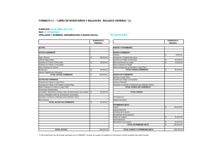 Libro de Inventarios y Balances | PDF | Activo fijo | Hoja de balance