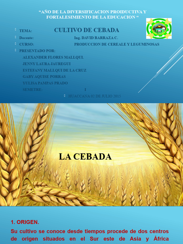 Exposicion Alex Cebada | PDF | Cebada | Agricultura