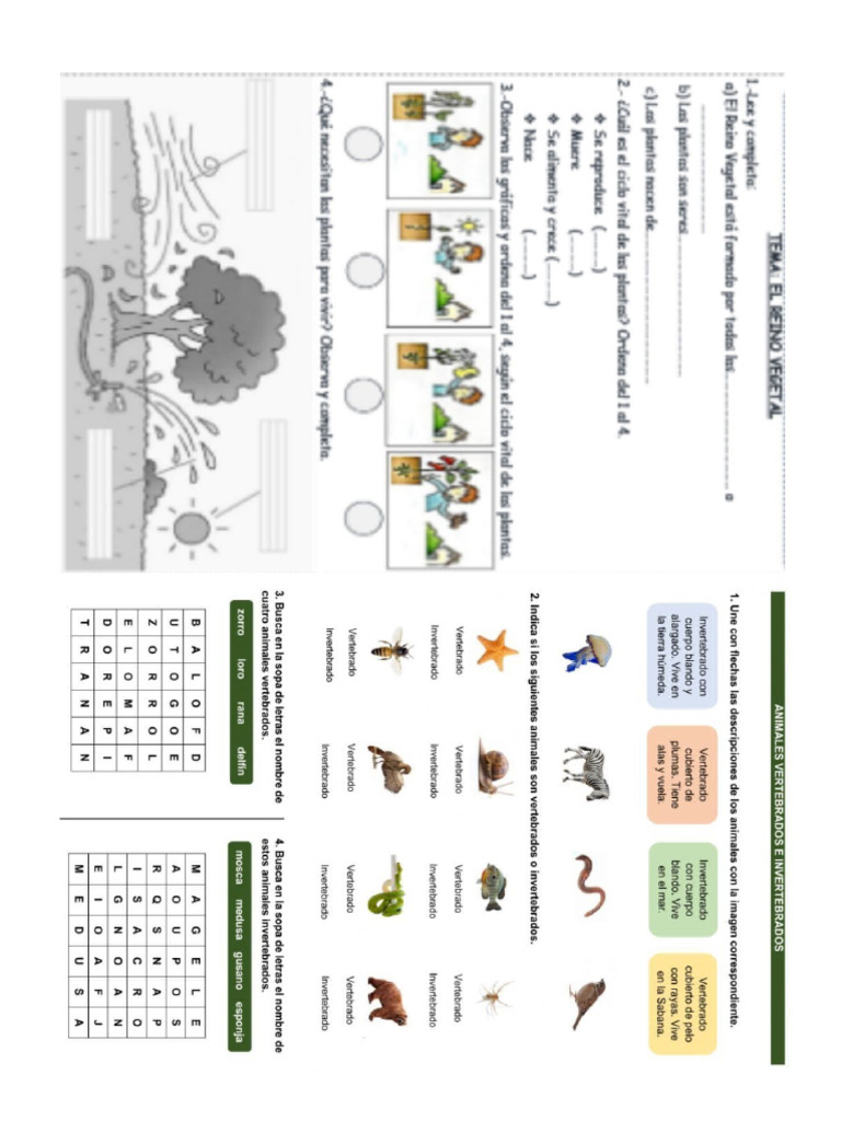 ACTIVIDADES CICLO DE PLANTAS Y ANIMALES | PDF