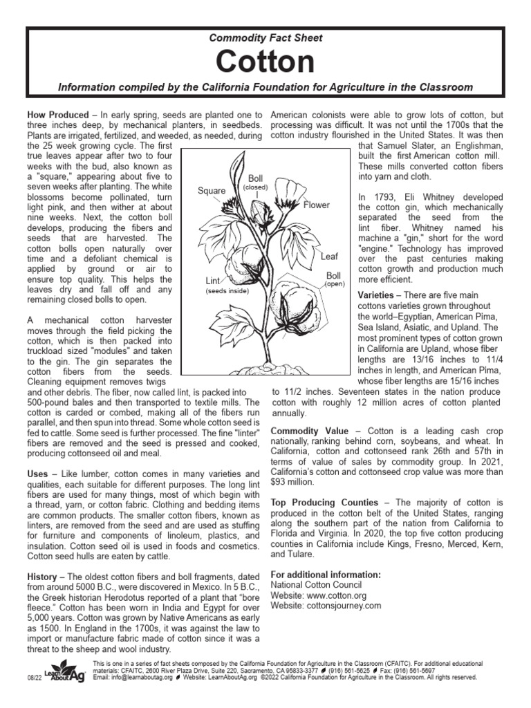 cotton | PDF | Cotton | Cottonseed