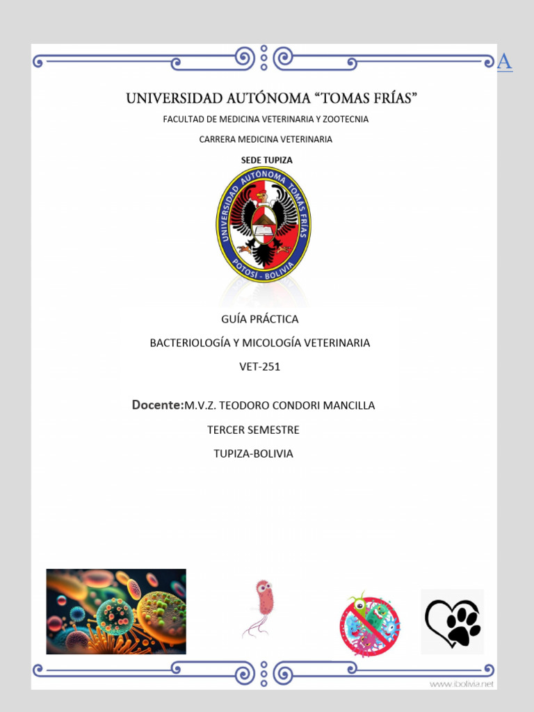 CARATULA Guía Práctica | PDF