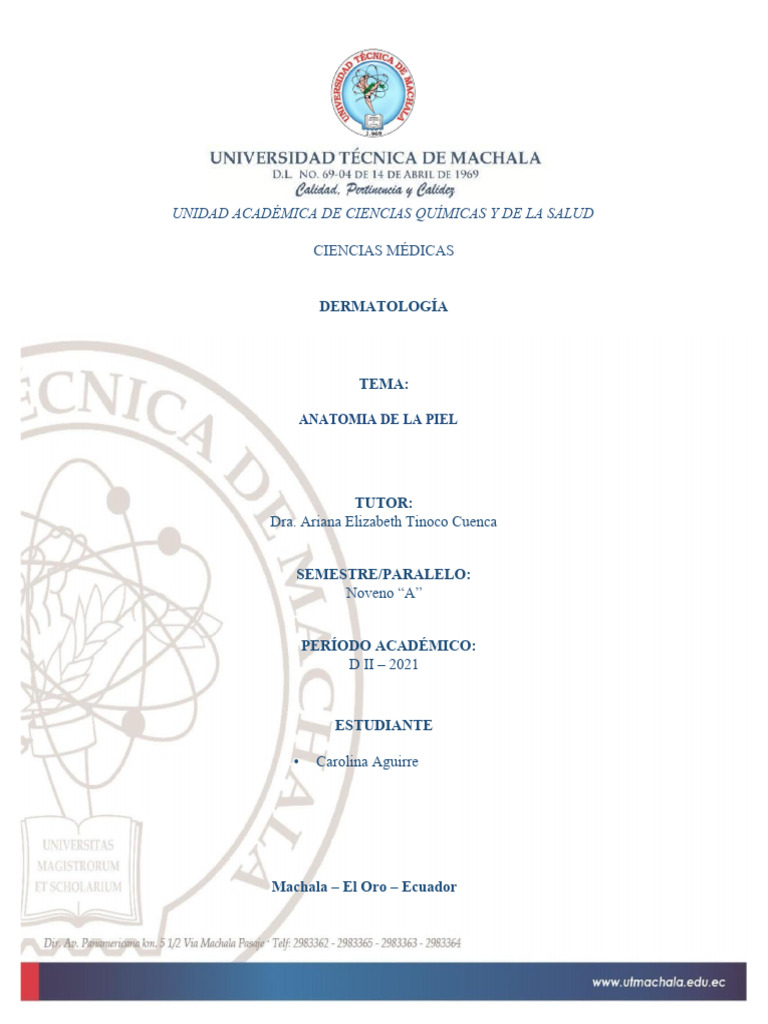 Anatomia De La Piel Pdf Piel Epidermis