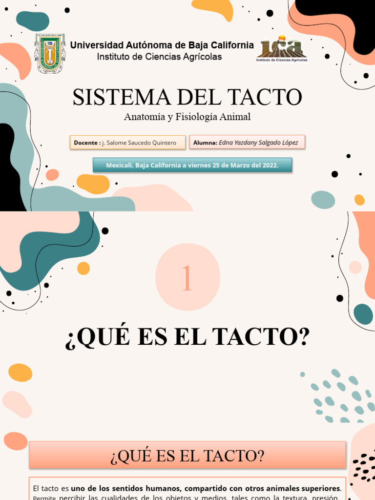 El Sistema del Tacto y su Importancia | PDF | Piel | Sentidos