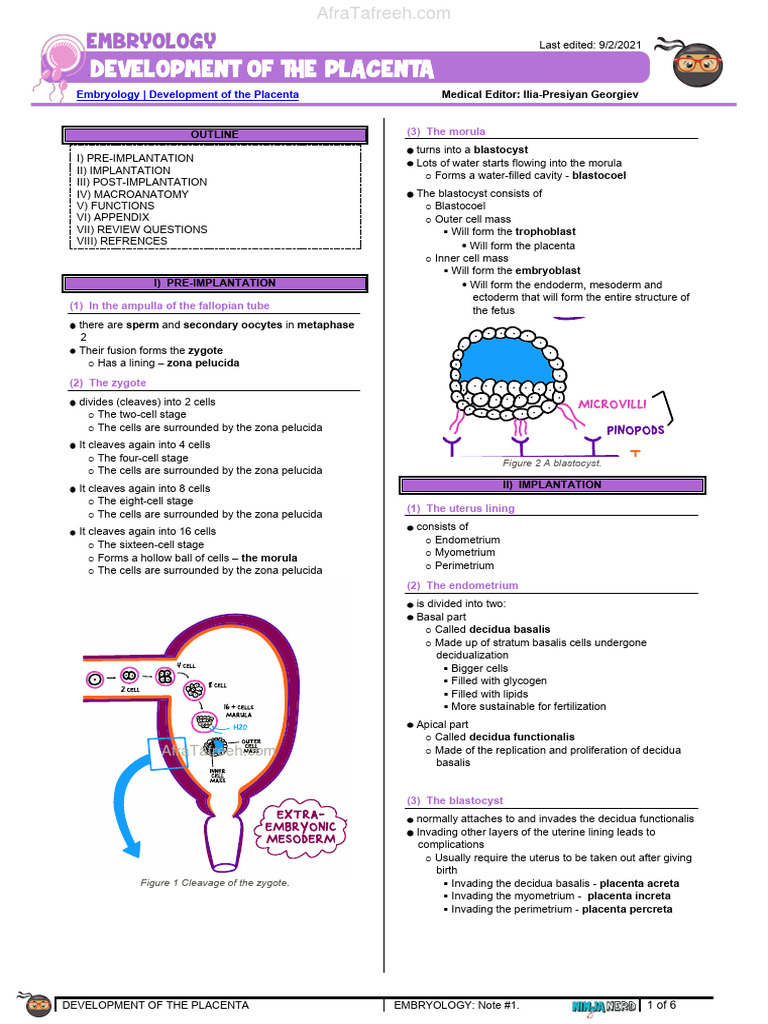 Placenta 2 | PDF | Placenta | Reproduction