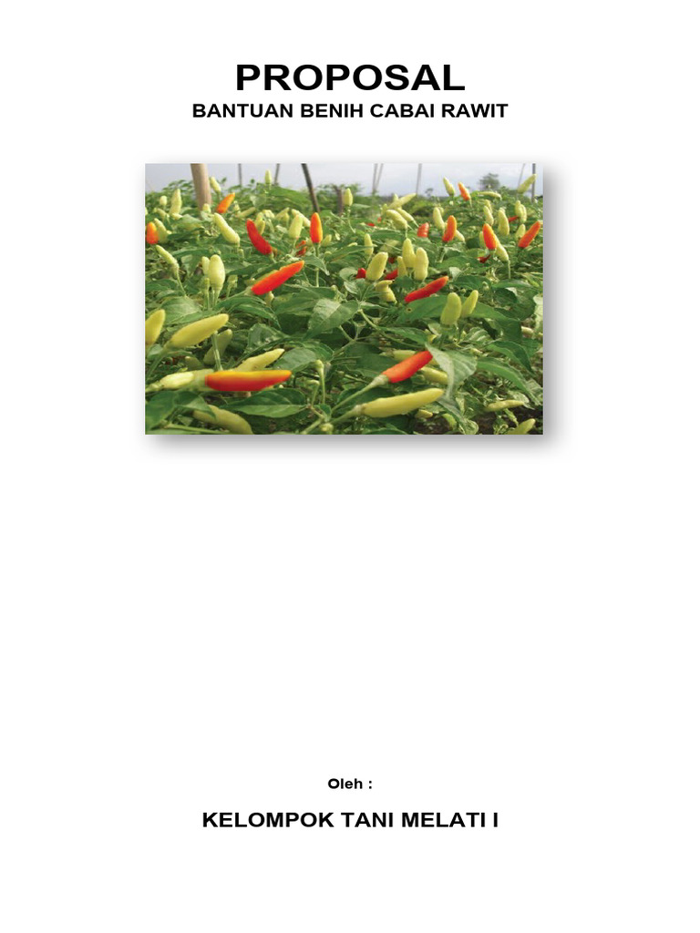 Proposal Bantuan Benih Cabai | PDF