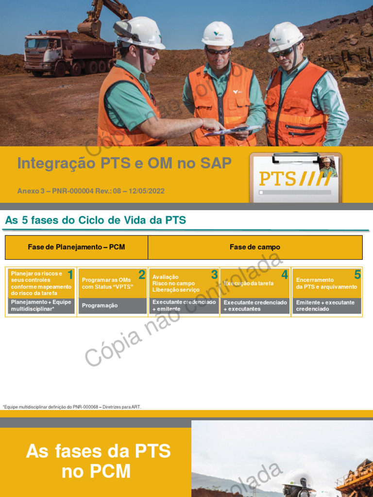 Ciclo de Vida da PTS no SAP | PDF