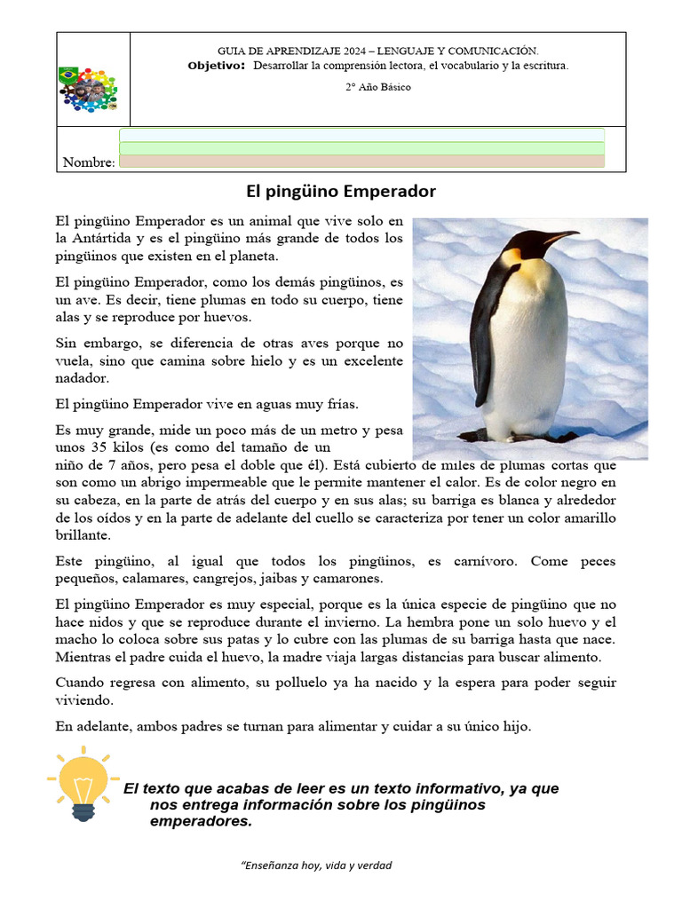 Comprensión Lectora Pinguino Emperador | Descargar gratis PDF ...