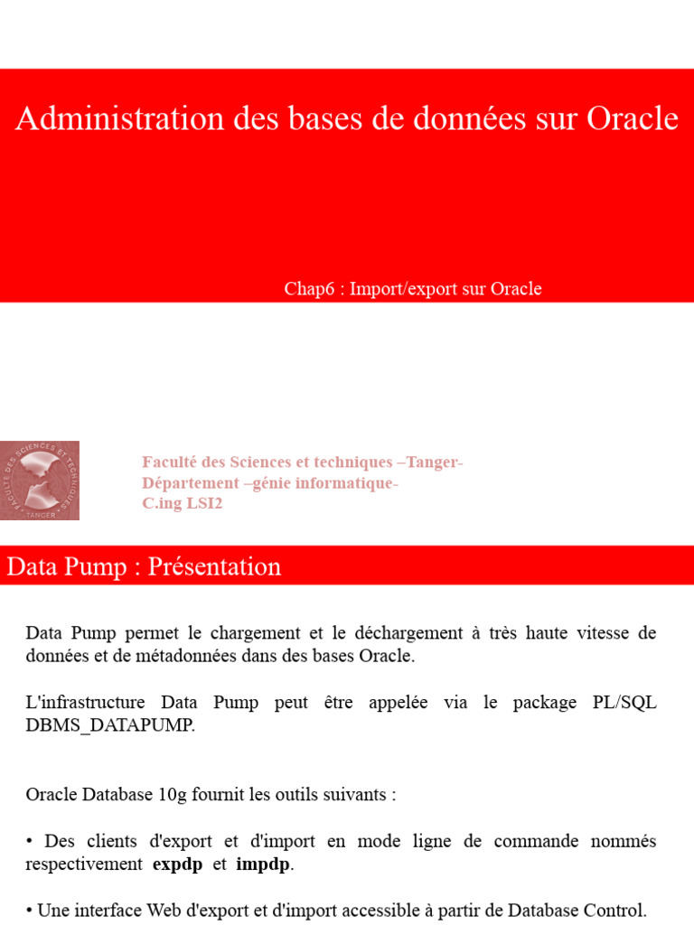LSI2 Import Export | PDF | Base de données Oracle | Interface en ligne de commande