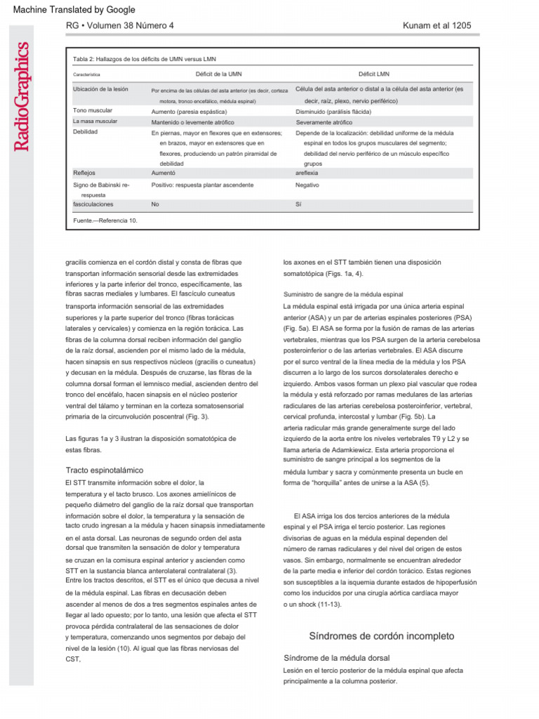 Ar1 - Sindrome Medular (1) | PDF | Médula espinal | Anatomía
