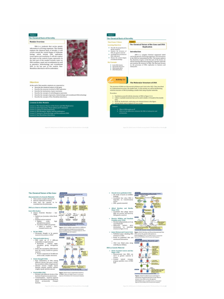 Genetics Module 3 Lesson 1 | PDF