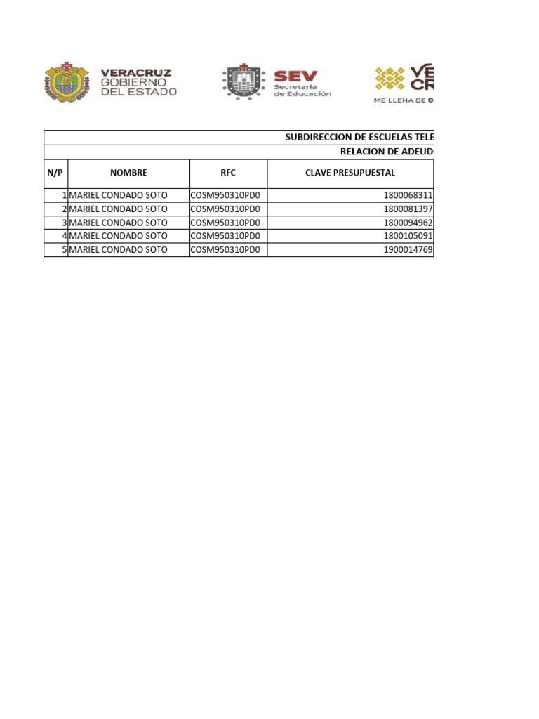 Formato de Adeudos | PDF