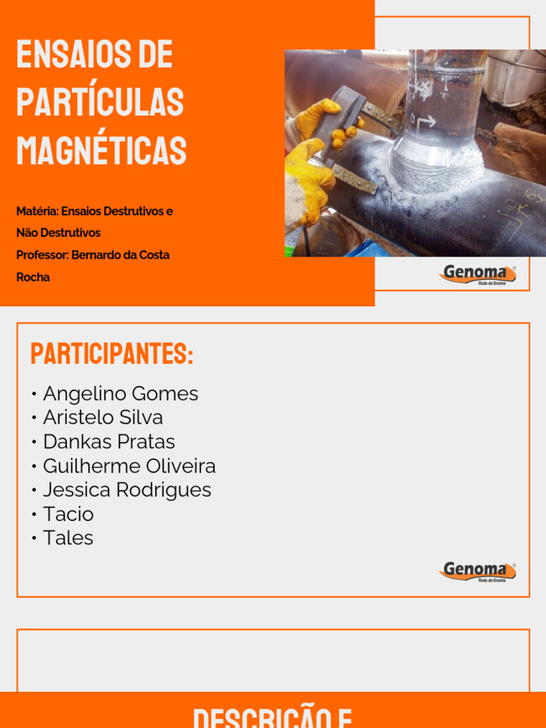 Ensaios de Partículas Magnéticas | PDF | Magnetismo | Ímã