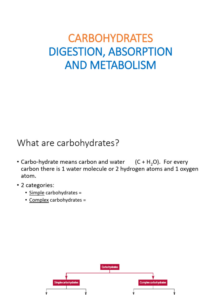 Chapter 3 Carbohydrate 1 DIGESTION ABSORPTION AND METABOLISM | PDF ...