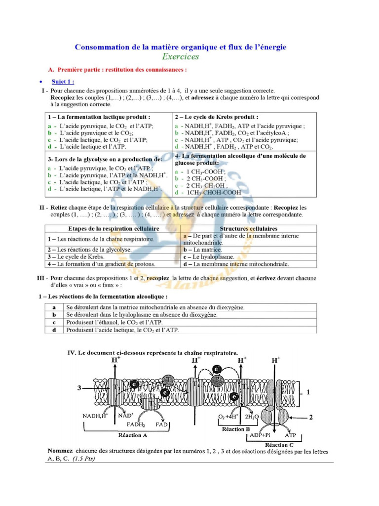 Exercice 2bac1 | PDF