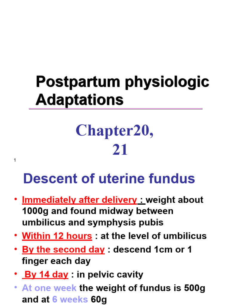 Lecture 14postpartum Physiology Postpartum Adaptations | PDF | Vagina ...