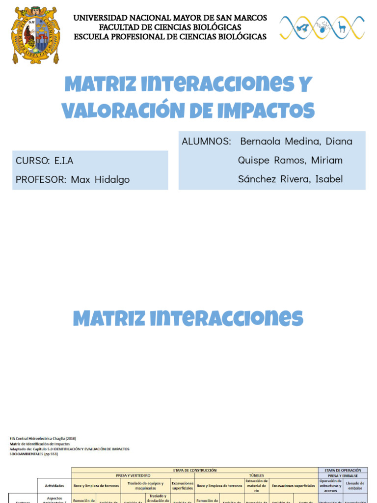 Matriz Interacciones - EIA SEM 12 | PDF | Agua | Reservorio