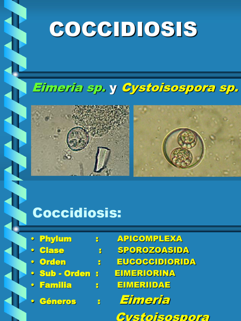 Coccidiosis | PDF | Enfermedades y trastornos | Medicina CLINICA