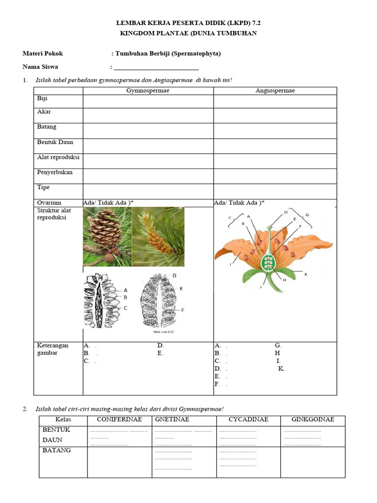 Perbedaan Gymnospermae dan Angiospermae | PDF | Sains & Matematika