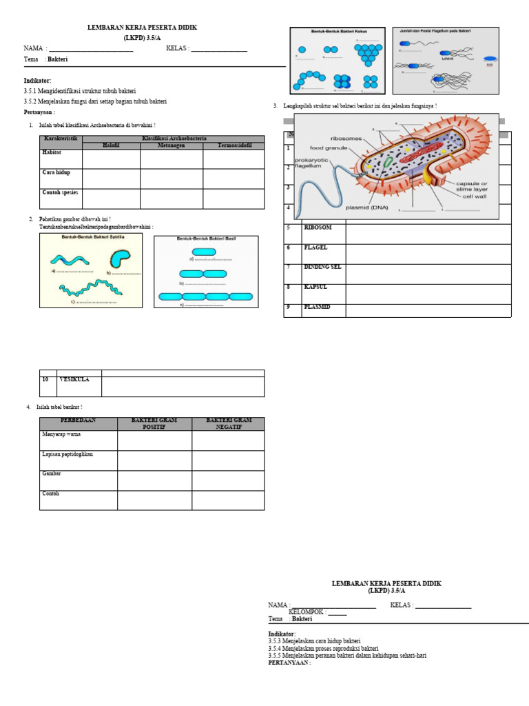 LKPD Bakteri | PDF