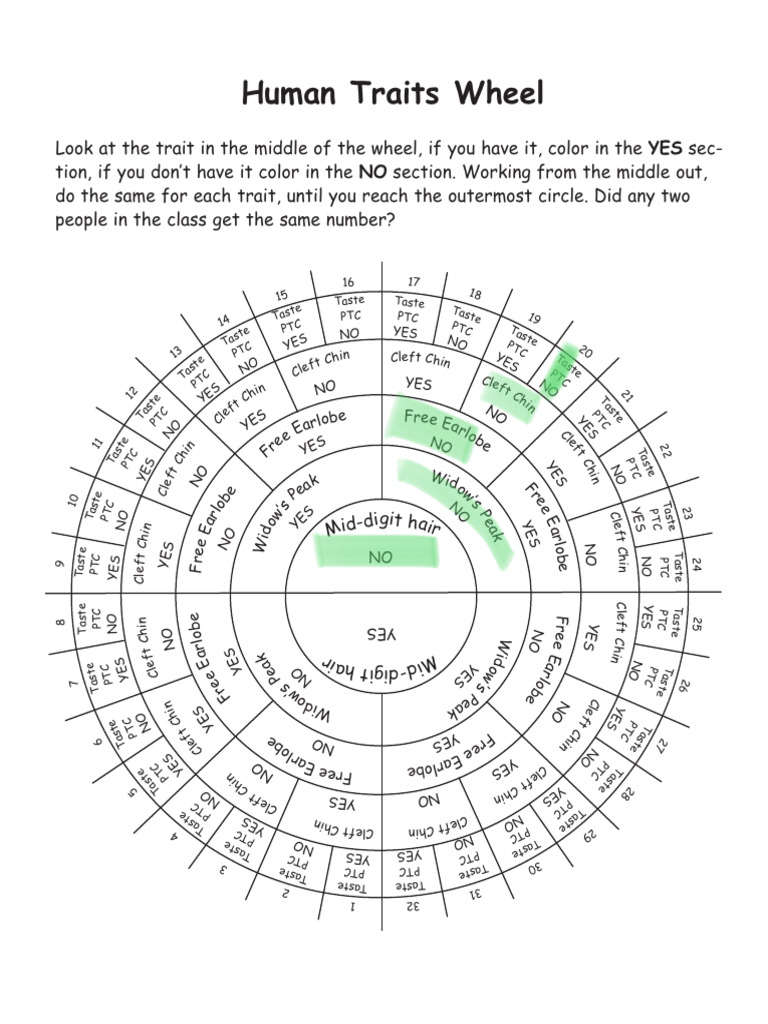 Human Traits Wheel | PDF