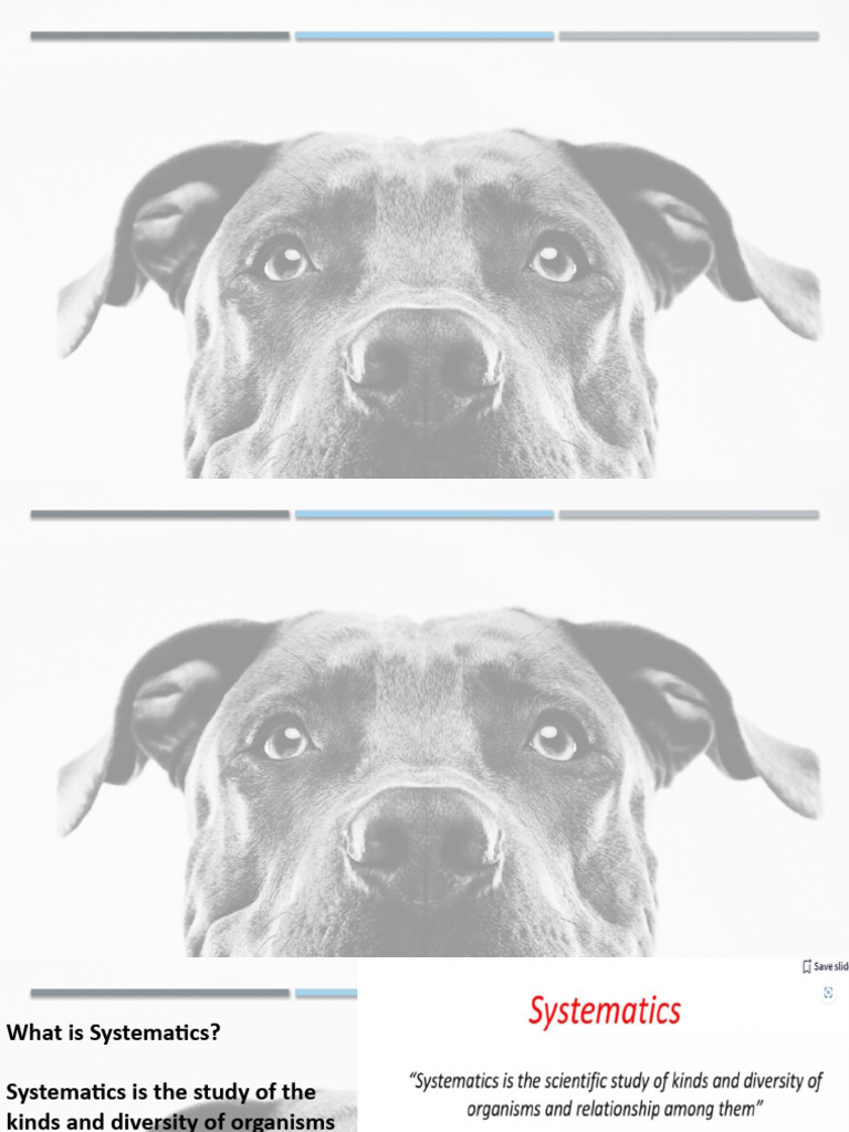 Systematics Based On Evolutionary Relationships | PDF | History