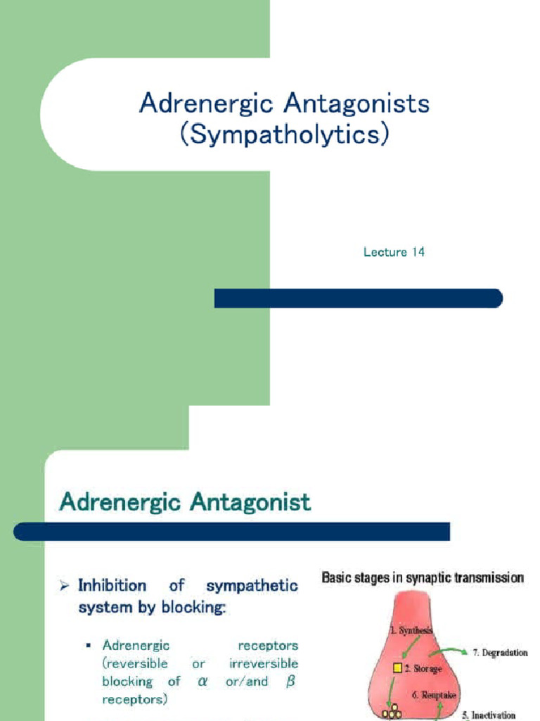 Adrenergic Antagonist | PDF