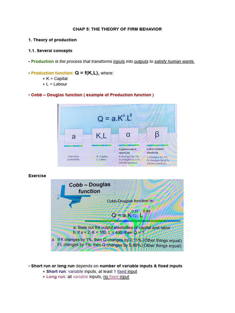 Chap 5 | PDF | Production Function | Marginal Cost