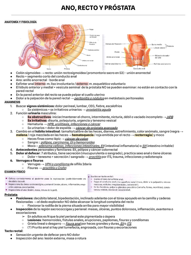 Cap 22 - Ano, Recto y Próstata | PDF | Cáncer colonrectal ...