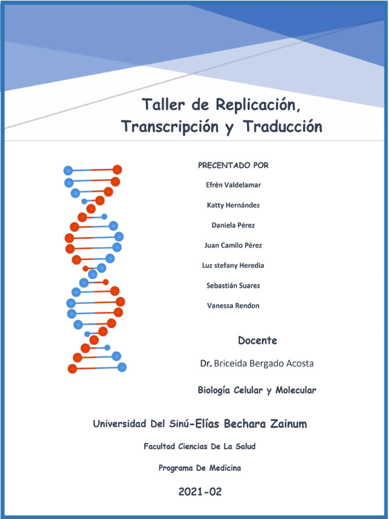 Taller de replicación genetica | PDF | Adn | Replicación De Adn