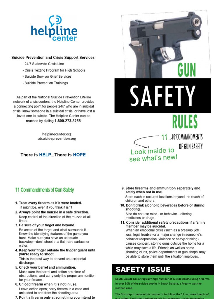 SD Gun Safety Brochure | PDF | Firearms | Flight