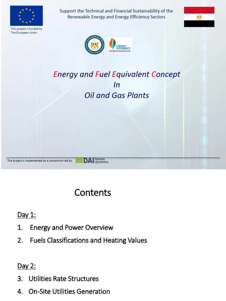 2 Energy & Fuel Equivalent Concept - Final - V2-July | PDF | Renewable ...