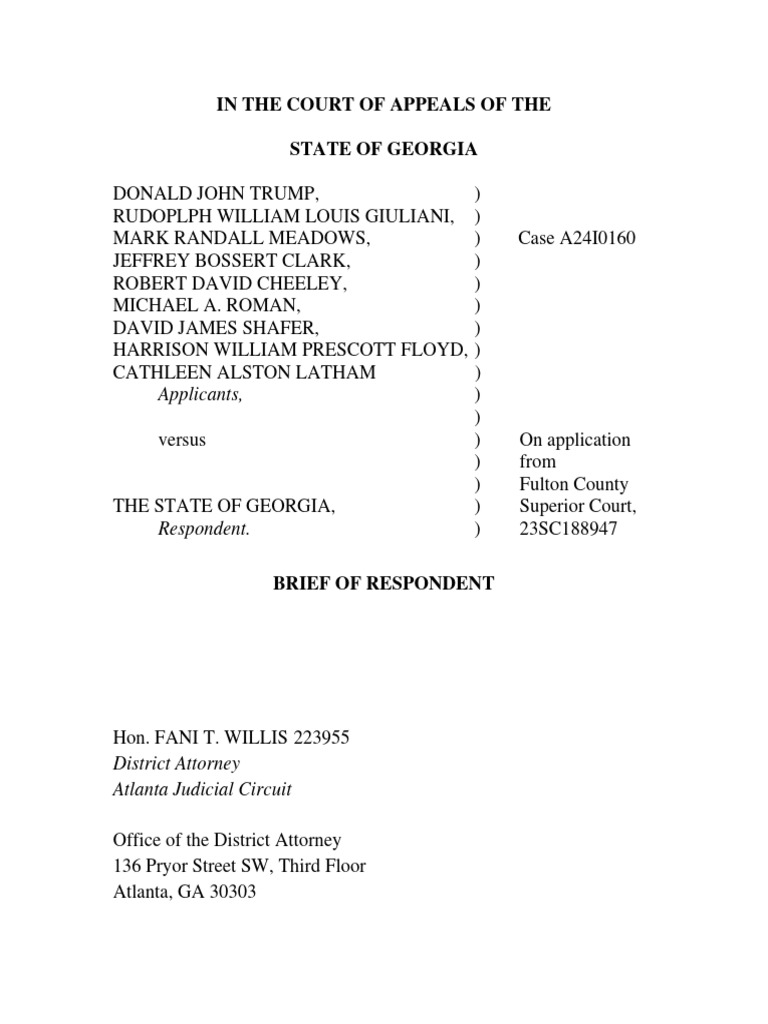 Fani Objects To Disqualification Appeal in Georgia Court of Appeals ...