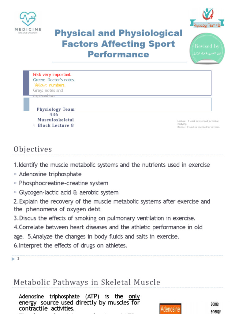 Muscle Metabolism and Sports Performance | PDF | Adenosine Triphosphate ...