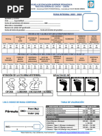 Senior Fitness Test PDF | PDF | Aptitud física | Medicina CLINICA