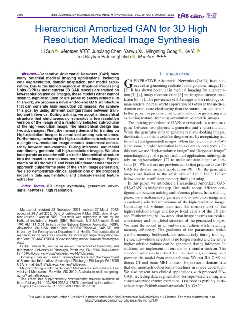 Hierarchical Amortized GAN For 3D High Resolution Medical Image Synthesis | PDF