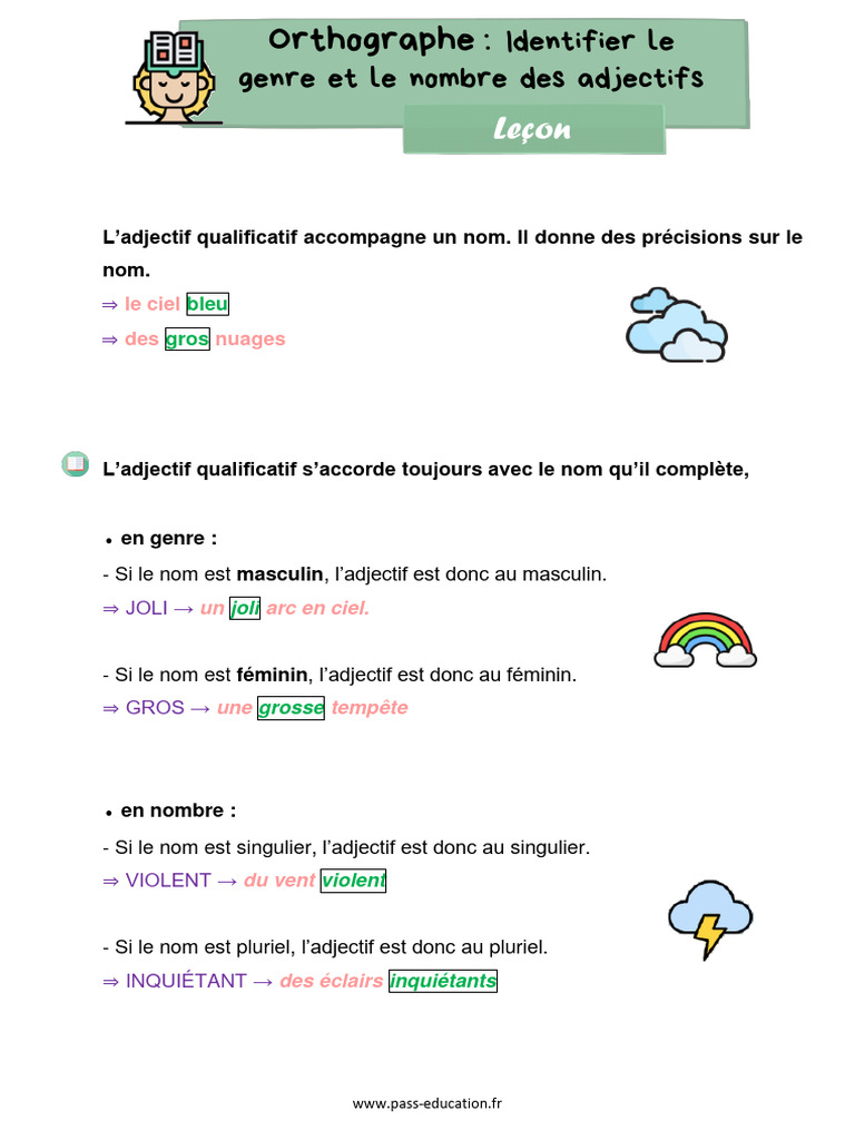 Leçon CE1 Identifier Le Genre Et Le Nombre Des Adjectifs | PDF