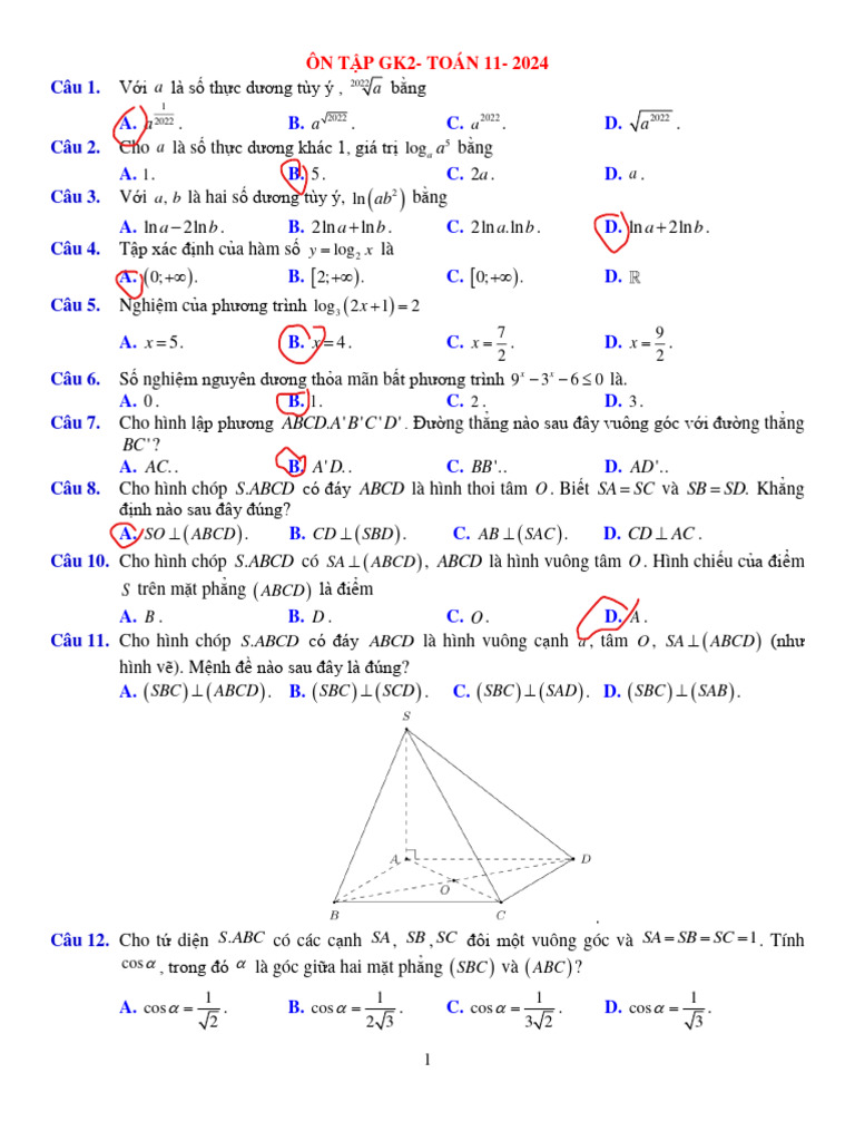 - ôn Tập Gk2- Toán 11 Đang Giải | PDF