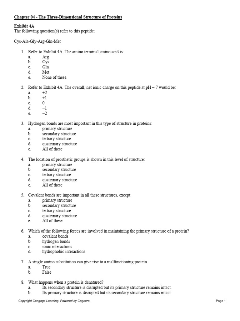 Ch04 Quiz | PDF | Hemoglobin | Protein Structure