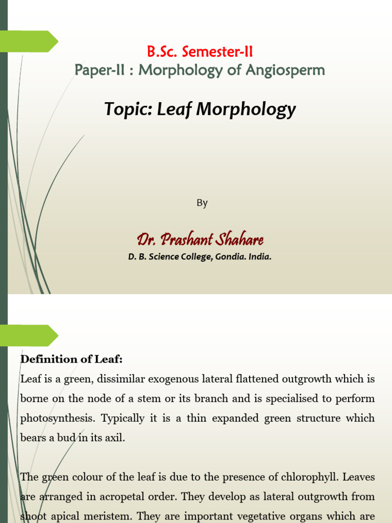 SEM II UNIT II Leaf Morphology DR - Prashant Shahare | PDF | Leaf | Plants