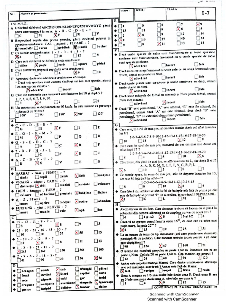 Testul I7 Oficial 45 Minute | PDF