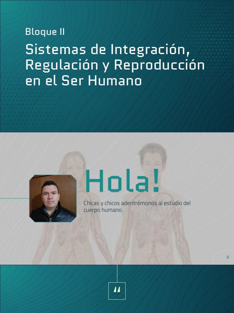 Bloque II. Sistemas de Integración, Regulación y Reproducción en El Ser Humano | PDF | Sistema ...