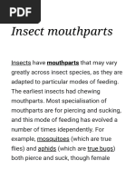 Biting and Chewing Insect Mouthparts | PDF | Insects | Arthropods