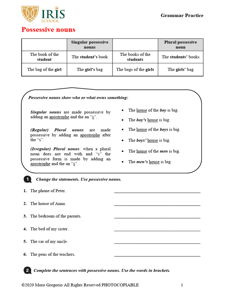Grammar Practice Possessive Nouns | PDF | Plural | Noun