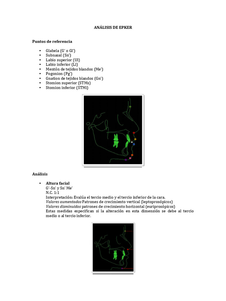 Análisis de Epker | PDF | Anatomía humana