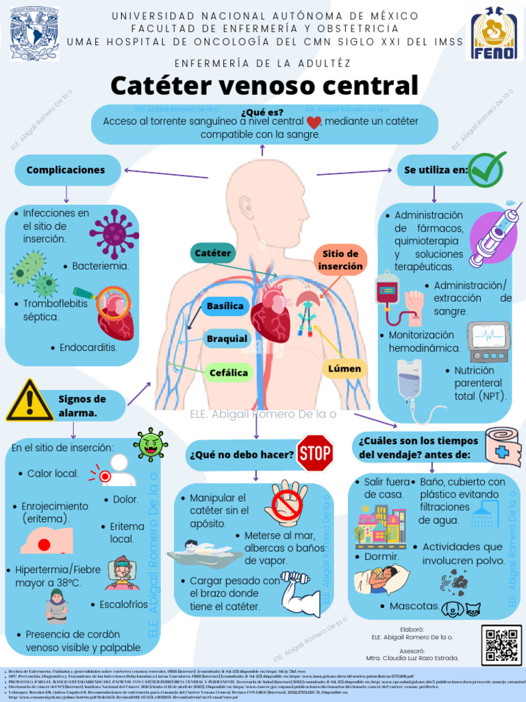 Catéter Venoso Central | PDF | Medicina CLINICA | Medicina