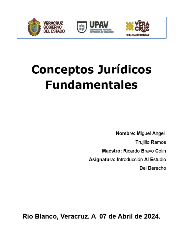 Conceptos Juridicos Fundamentales Final | PDF | Derechos | Derecho penal